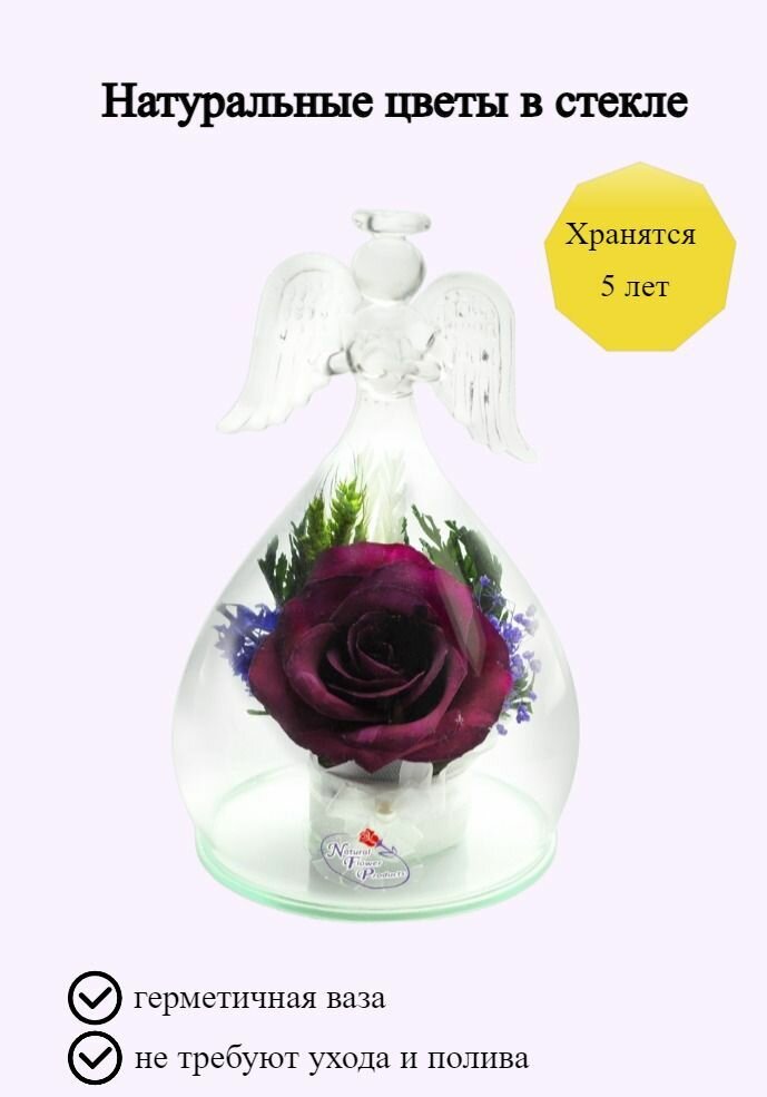 Композиция из натуральных цветов в стекле NFP, 12.5х7.5 см