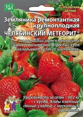 Семена Земляники сорт Челябинский метеорит