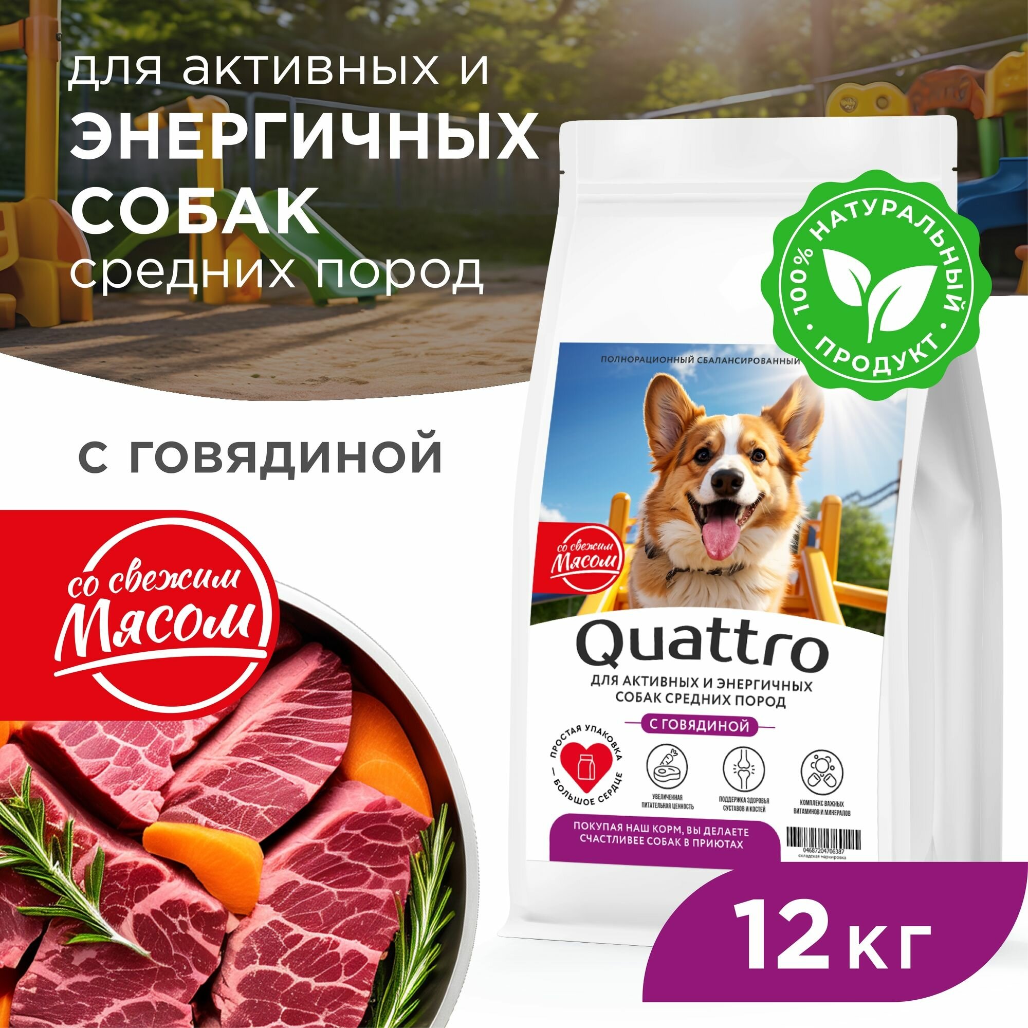 Корм сухой для взрослых собак средних пород, премиум полнорационный комплекс, для активных и энергичных, с говядиной, 12 кг, QUATTRO