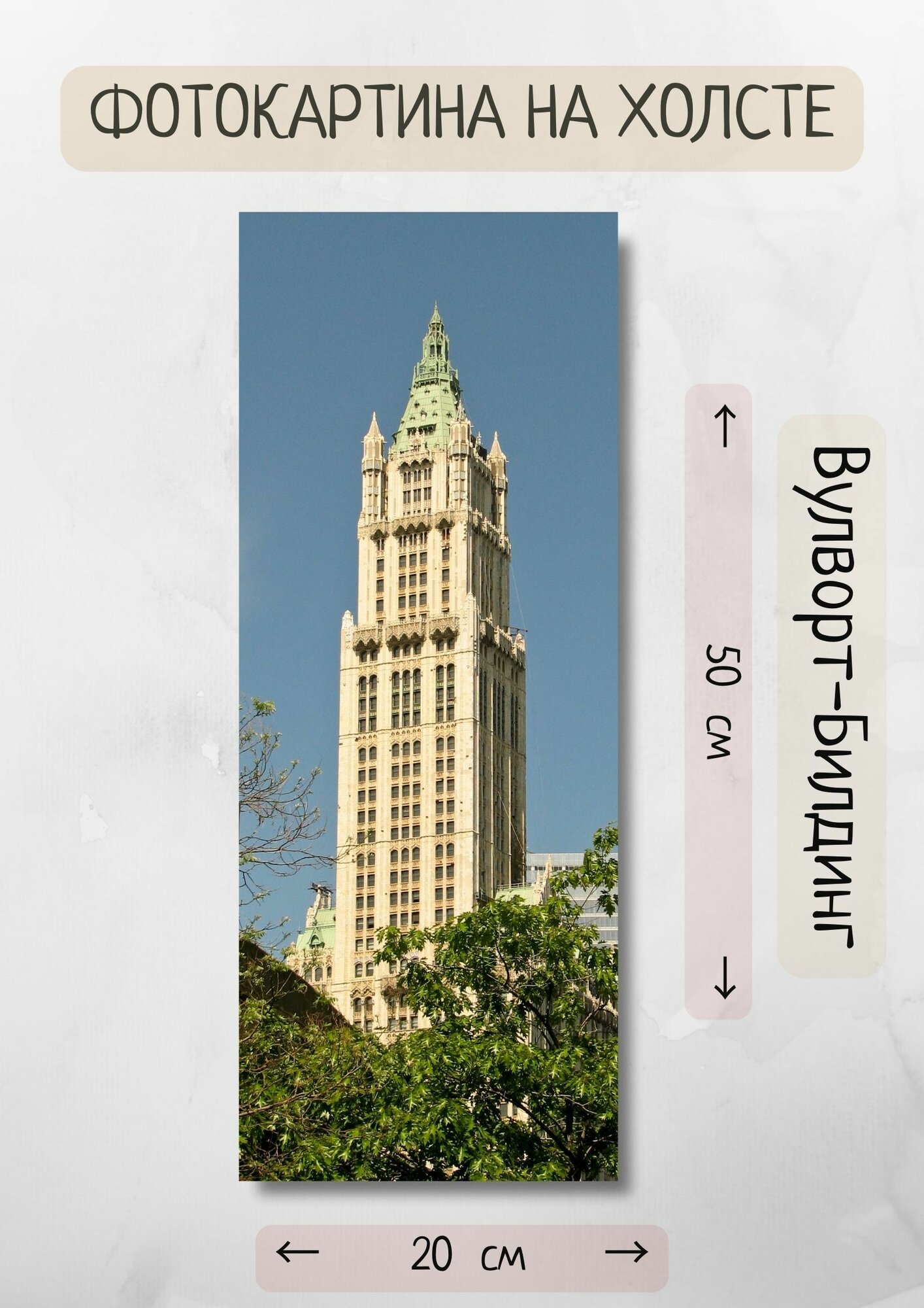 Картина 50х20 с изображением известной высотки мира "Вулворт-Билдинг"