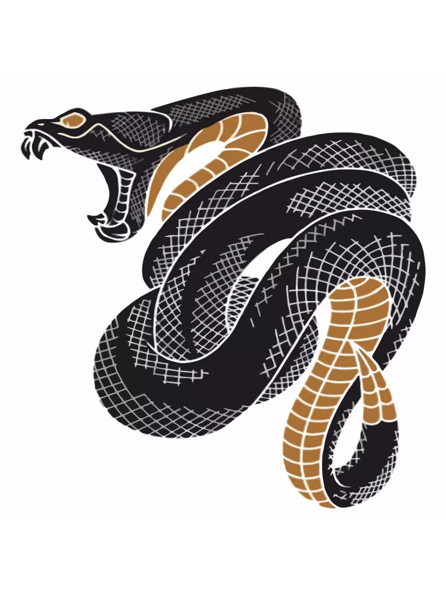 Наклейка "Змея", 150х150мм, вид 2, Арт рэйсинг