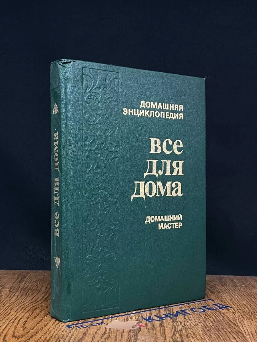 Книга. Домашний мастер 1993 (2041025232845)