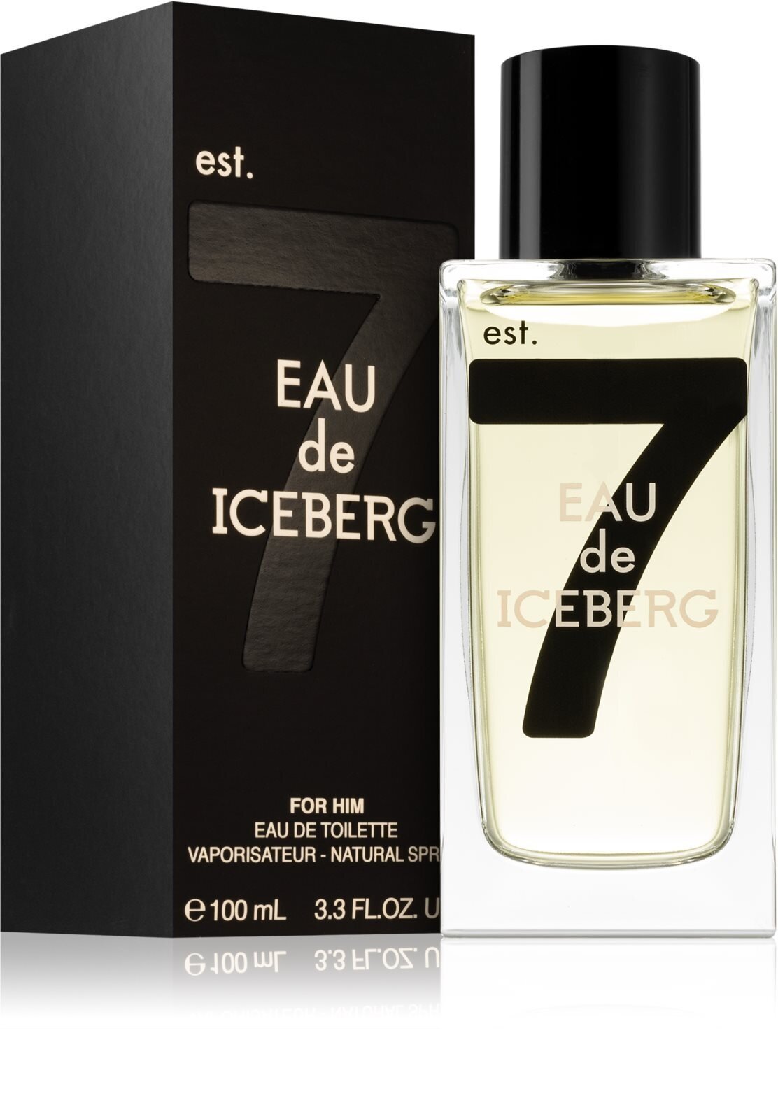 Туалетная вода Iceberg "Eau de Pour Homme", 100 мл, мужская, древесная, ароматическая