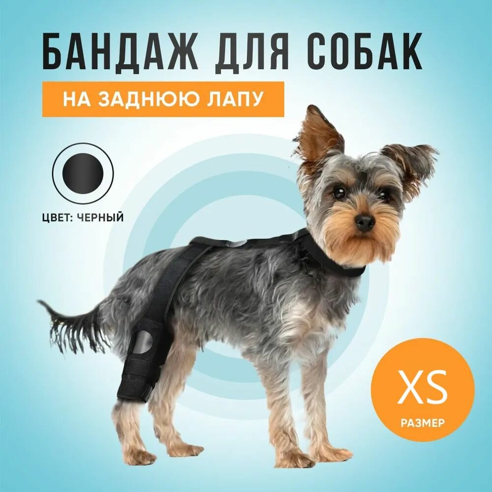 Бандаж для собак на заднюю лапу, на локтевой и коленный сустав, со вставками, XS.