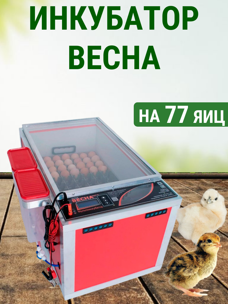 Инкубатор Весна на 77 яиц (100% автомат)