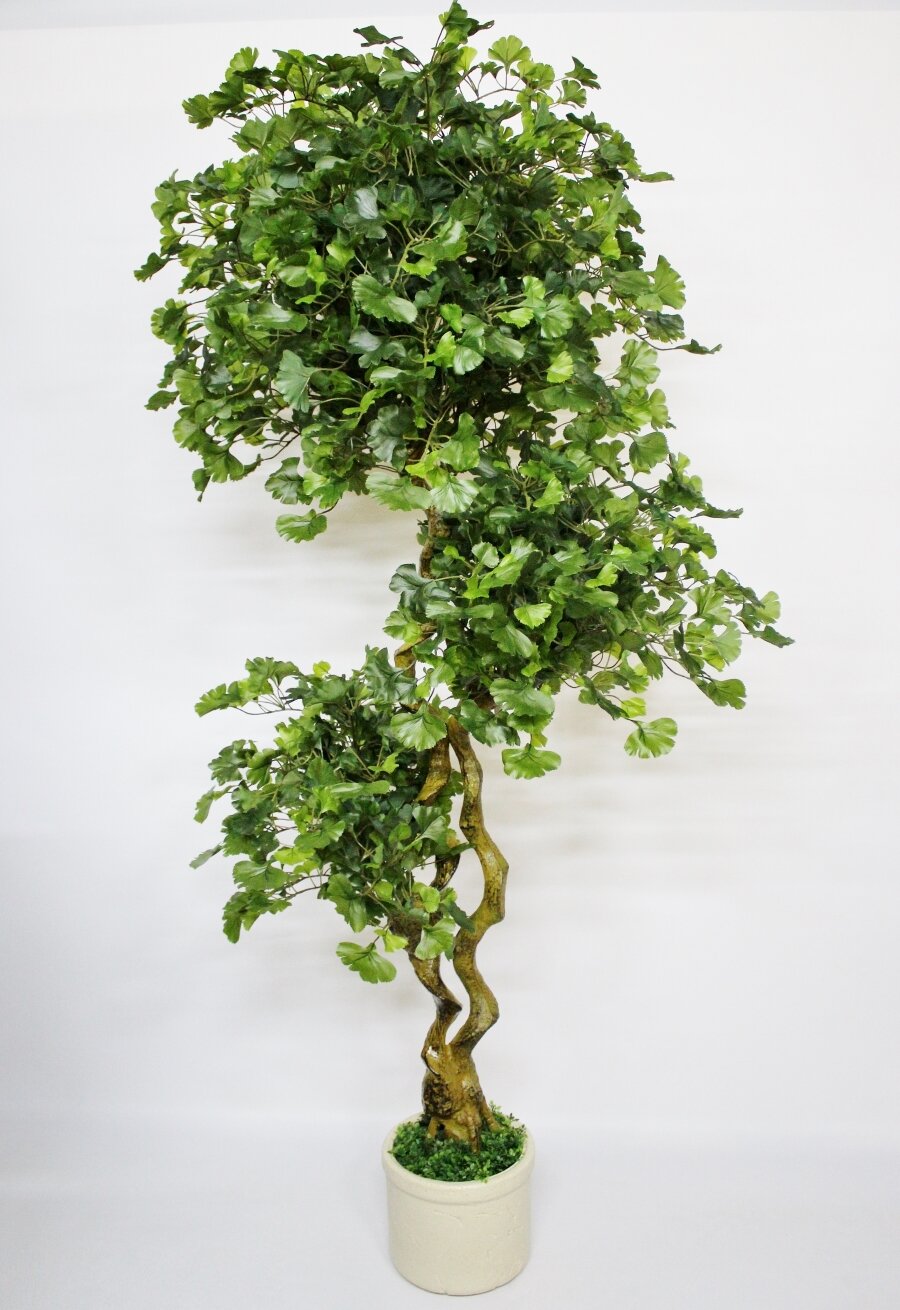 Дерево гинго искусственное, 200 см, бренд CONEKO - декор для дома и офиса