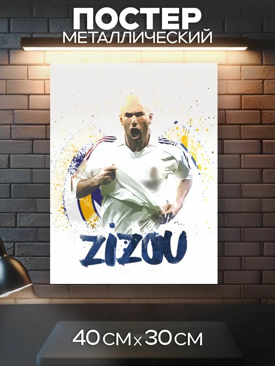 Картина на стену Zidane - Зидан