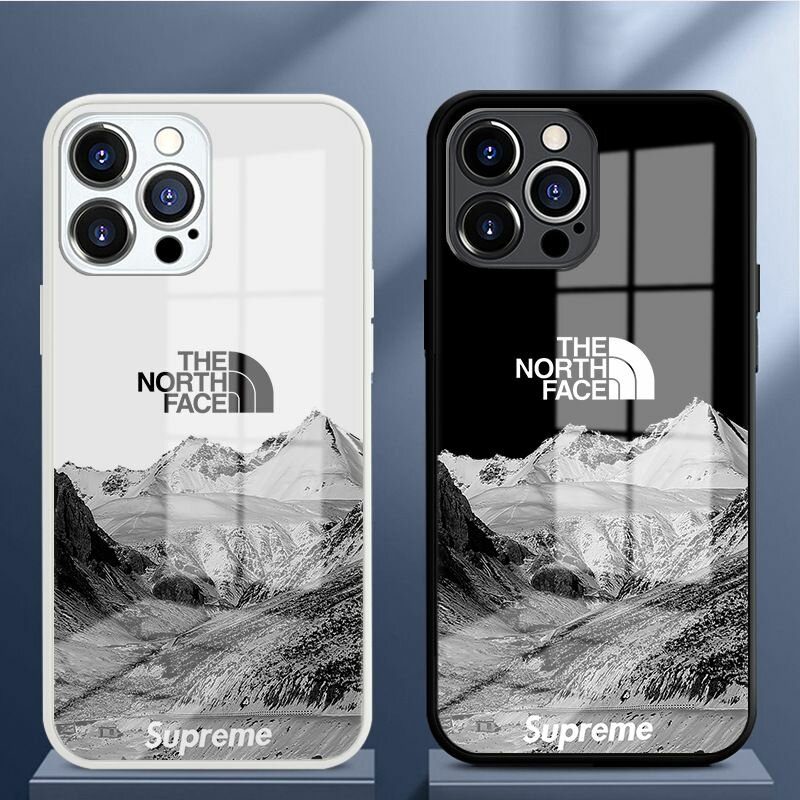Чехол на iPhone 16 Pro Айфон, Apple The North Face