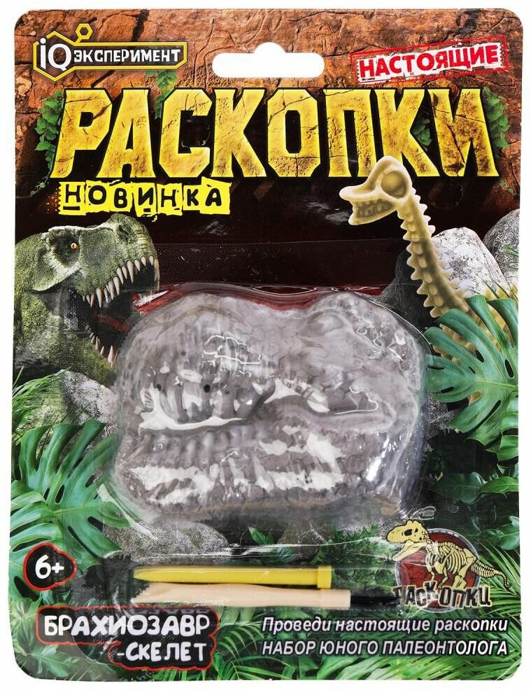 Детский набор для раскопок "Череп динозавра. Брахиозавр", сюжетно-ролевая игра юный археолог для исследований, в комплекте гипсовый слепок, инструменты