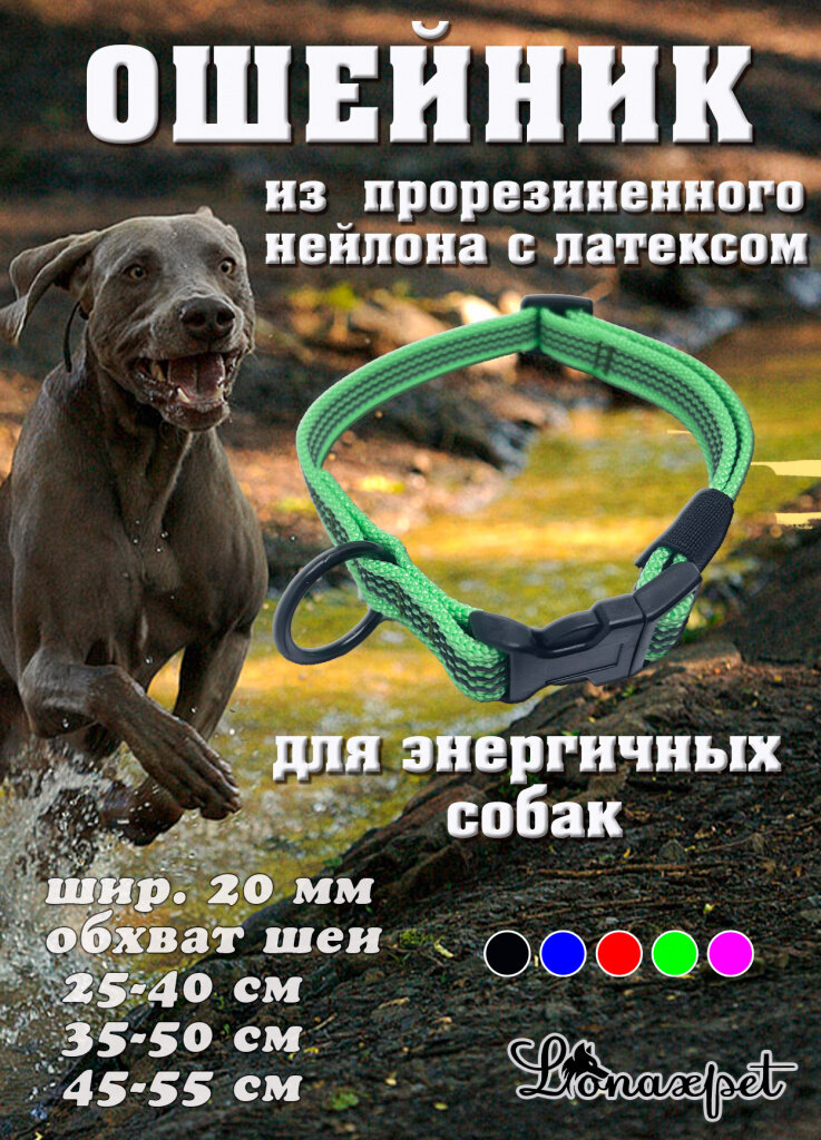 Ошейник для собак на замке фастекс из прорезинного нейлона с латексом салатовый шир.20 мм размер M (35-50 см)