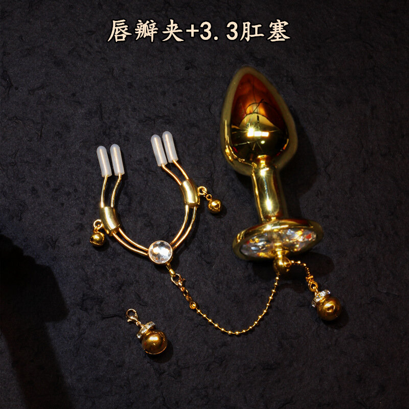 Вагинальный зажим, анальная пробка, набор, может регулировать боль, SM наказание, реквизит, чтобы выйти, нижняя часть тела, тренировочные инструменты, сексуальное нижнее белье, страсть