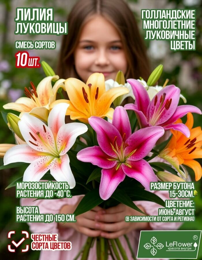 Лилия Луковица, Микс разные, 10 шт (1)