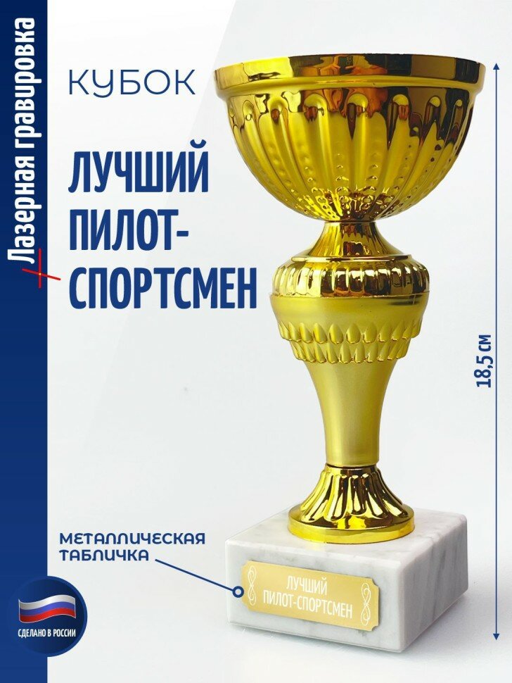 Кубок "Лучший пилот-спортсмен" (18,4 см)
