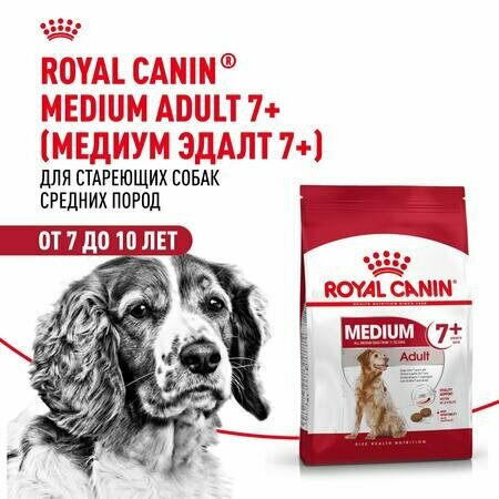 ROYAL CANIN MEDIUM ADULT 7+ 15 кг корм для собак от 7 до 10 лет