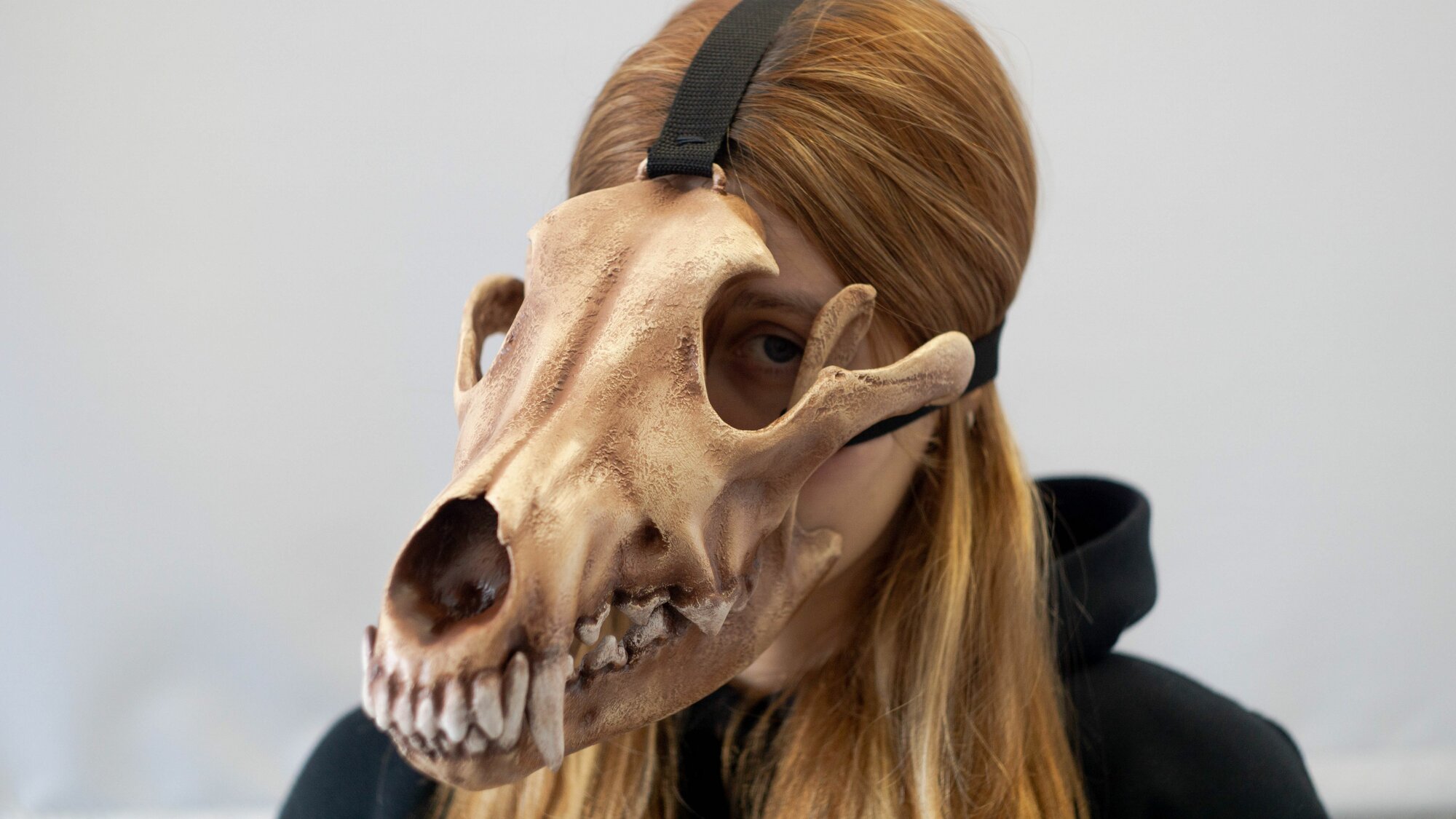 Реалистичная маска череп "Маска череп Волка"