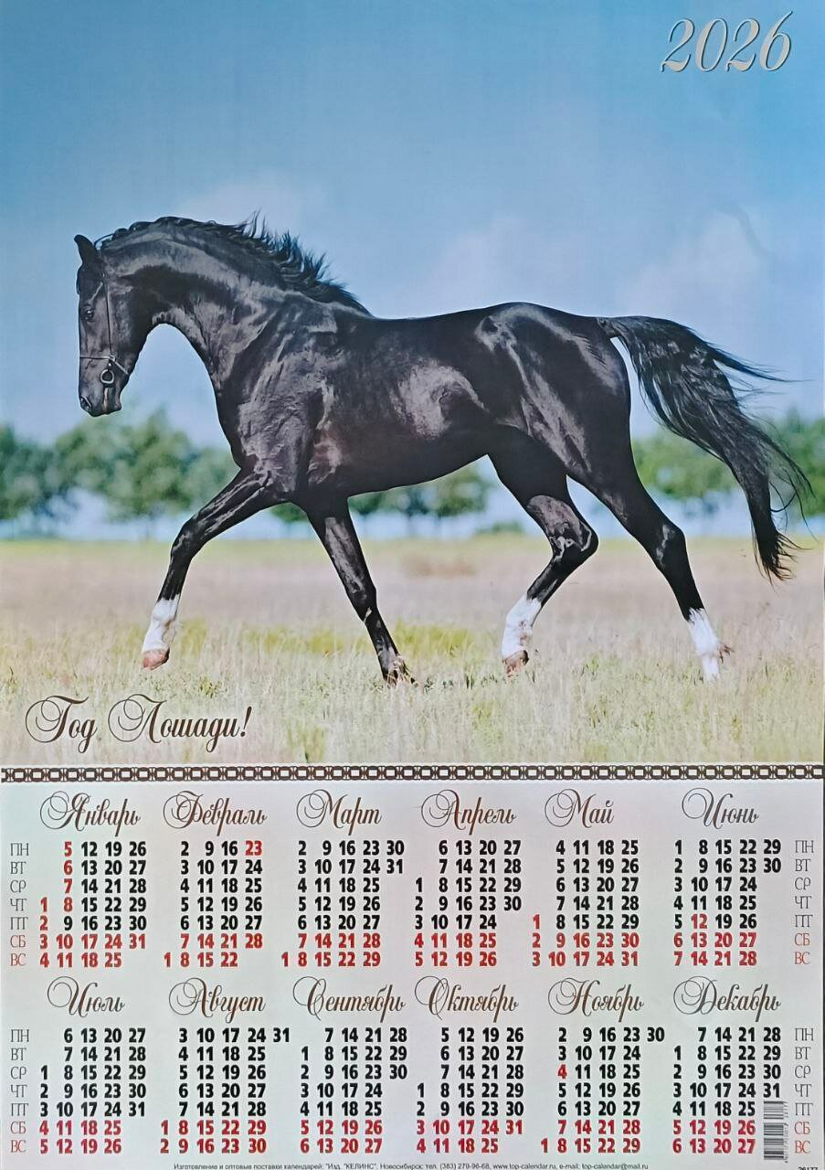 Календарь листовой 2026 год Год Лошади Уф-Лак, А2, Келинс 26177
