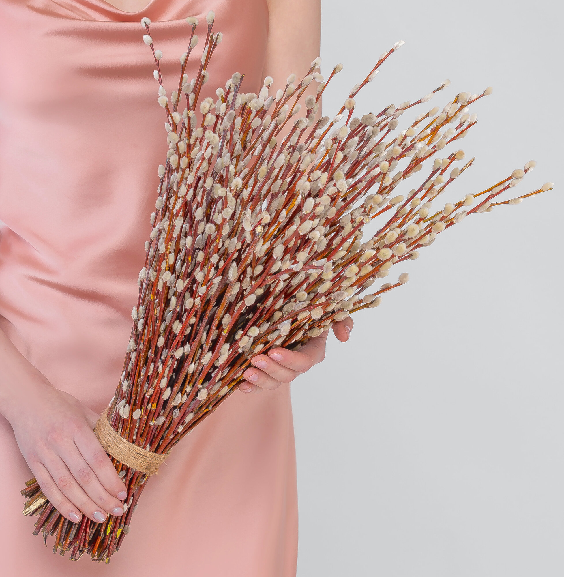 Букет Мегацвет24 "Верба", 15 пучков, серебристый, под бечевкой