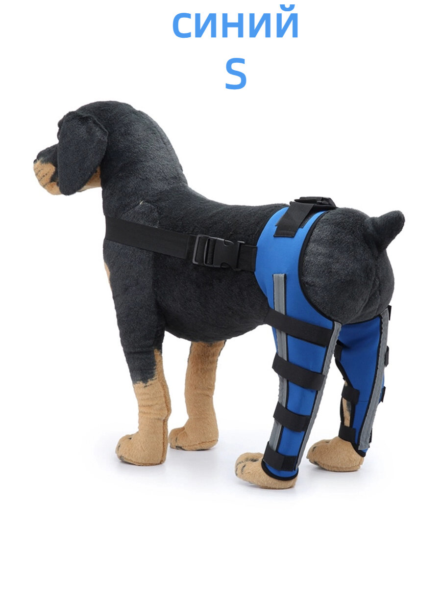 Ходунки для собак и кошки, Есть эластичность, со светоотражающими полосами, водонепроницаемость, применимый объект: кошки собаки и другие домашние животные, применимого пола: общий