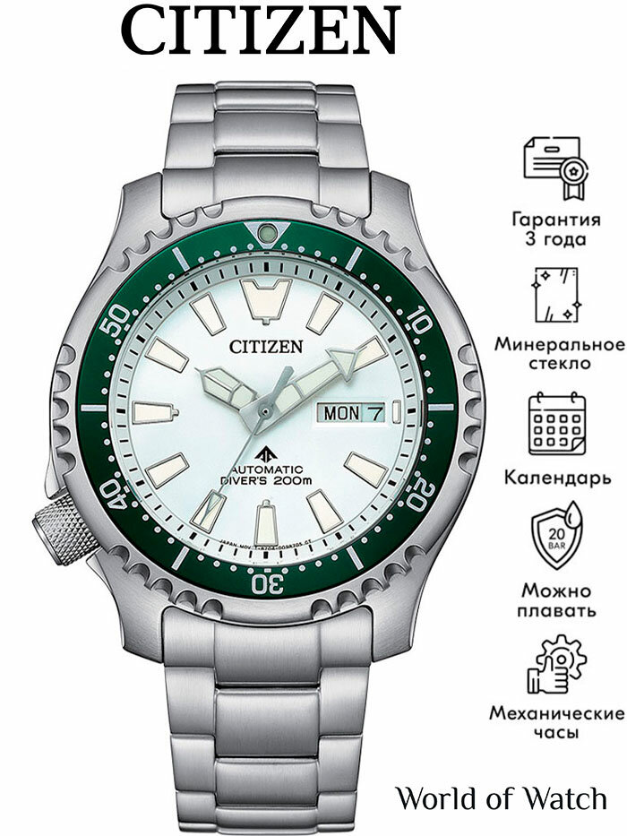 Наручные часы Promaster