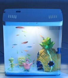 Аквариум для рыбок с подсветкой и фильтром Аквариум с фильтром и подсветкой