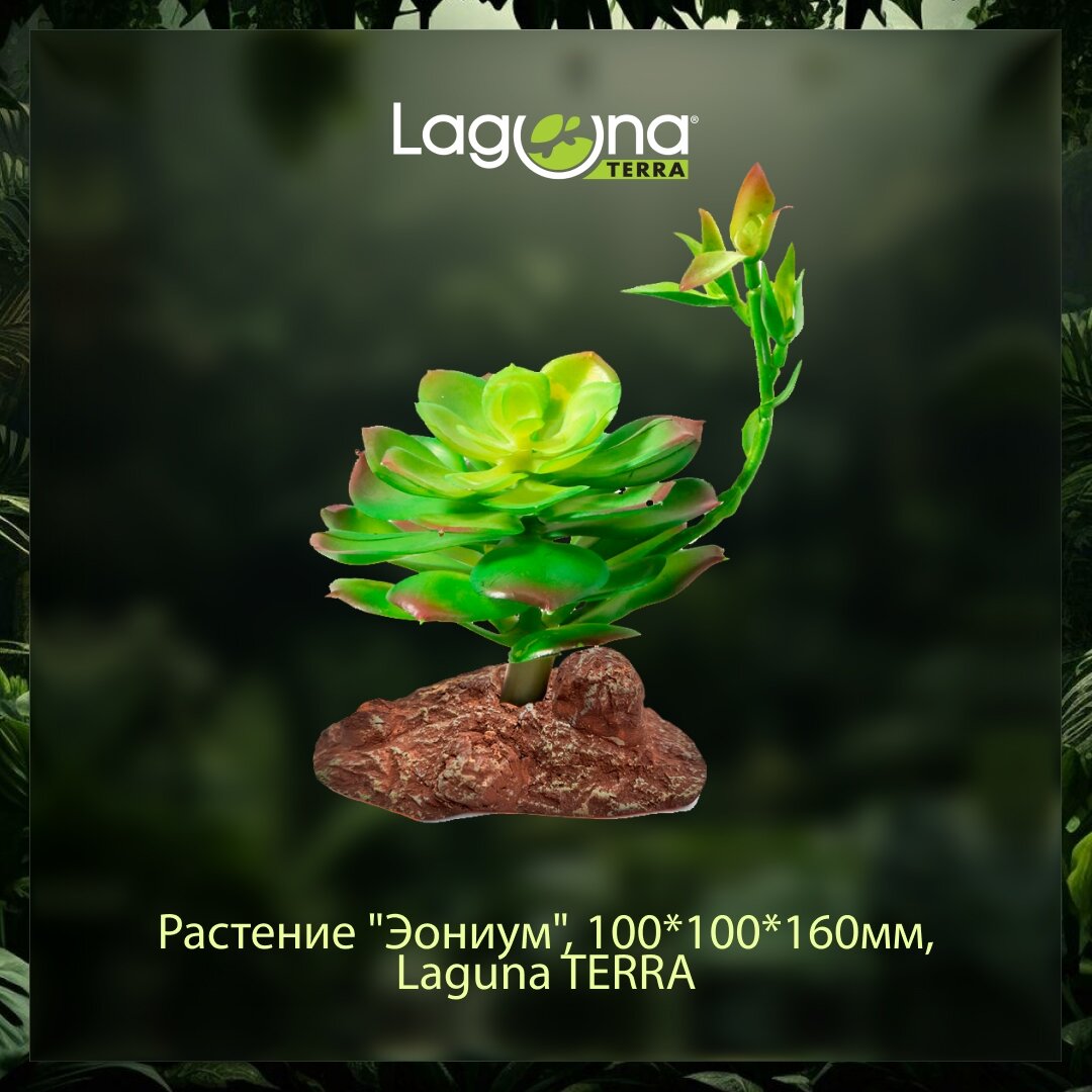 Декор для террариума "Эониум", 10*10*16см, от бренда Laguna TERRA