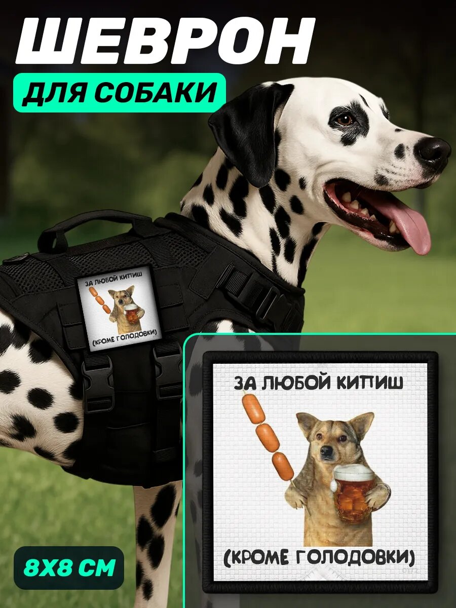 Шеврон на шлейку для собак За любой кипиш кроме голодовки
