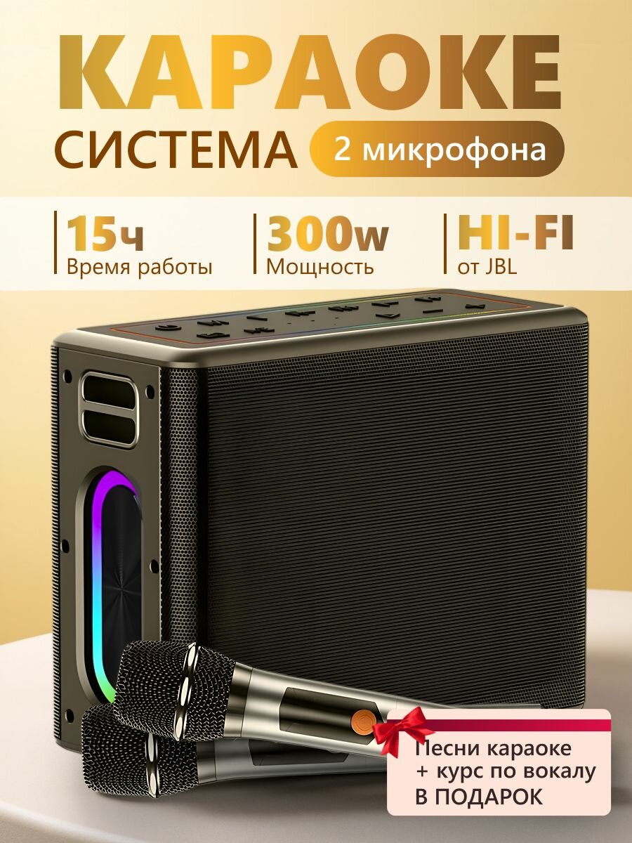 Караоке система с двумя микрофонами, 300W