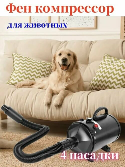 Фен компрессор для собак с густой шерстью Фен-компрессор для сушки собак и кошек с 4 насадками.