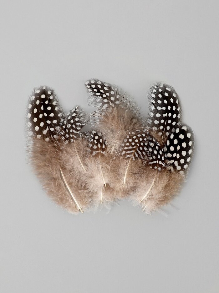 Набор перьев для декора 10 шт, размер 1 шт: 5×2 см, коричневый с белым