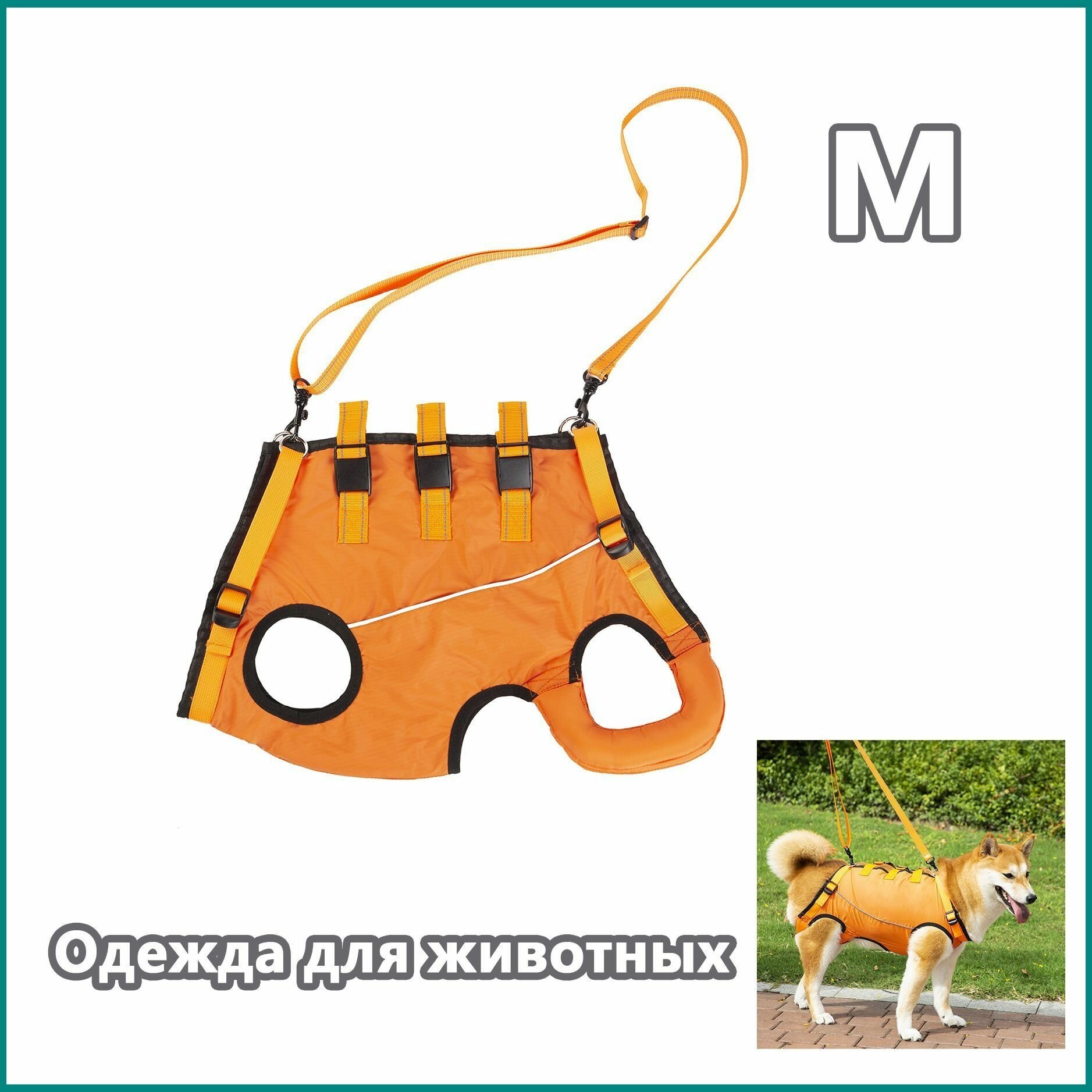 Полная поддержка для собак, Ходунки для пожилых и травмированных собак, Для кошек