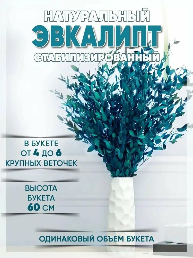 Сухоцветы Эвкалипт, 58 см, 270 гр, 1 шт