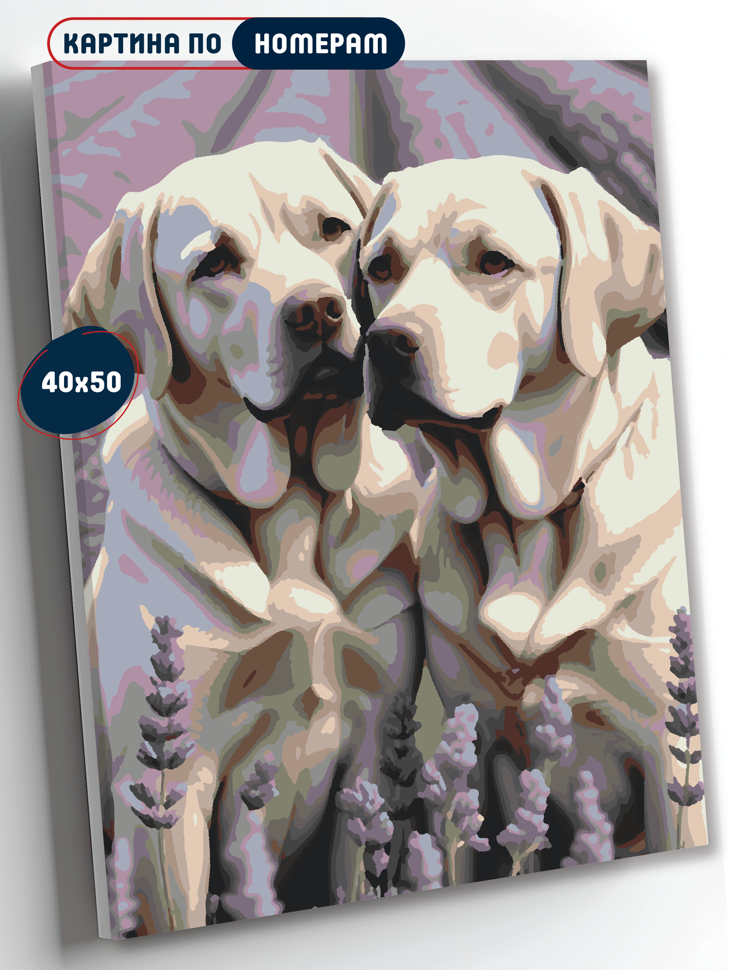 Картина по номерам "Лабрадоры и лаванда", Холст на подрамнике 40х50, набор для рисования, с собакой