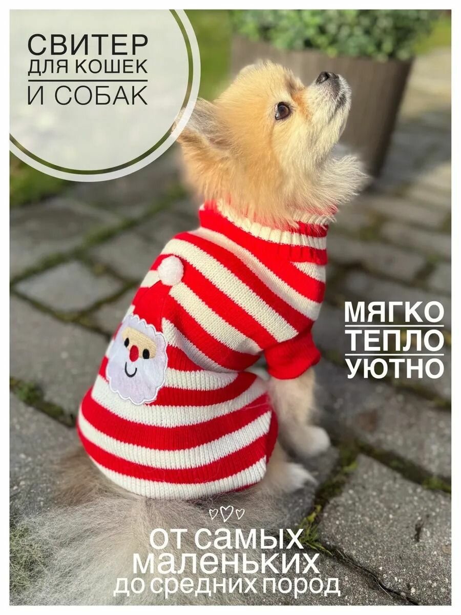 Одежда для собак и кошек, теплый свитер для мелких пород