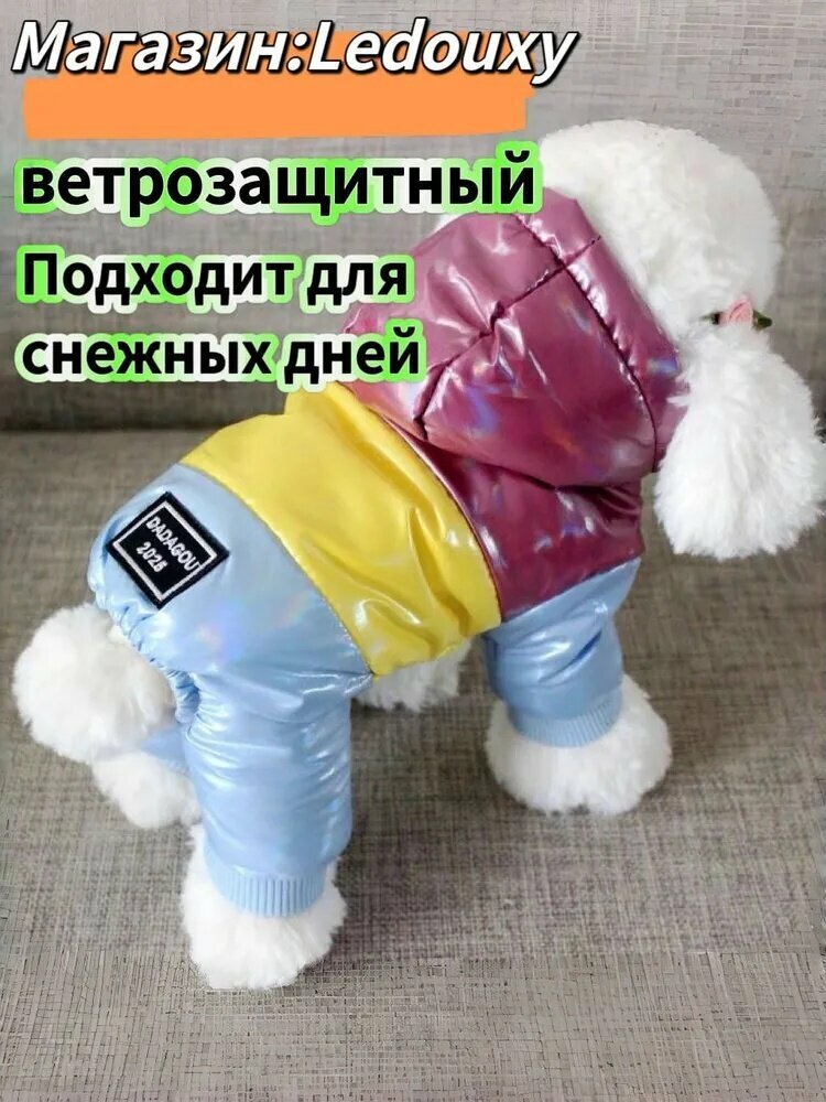 Одежда для животных
