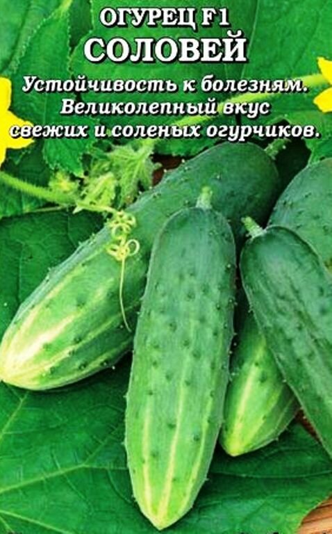 Семена Огурец Соловей F1