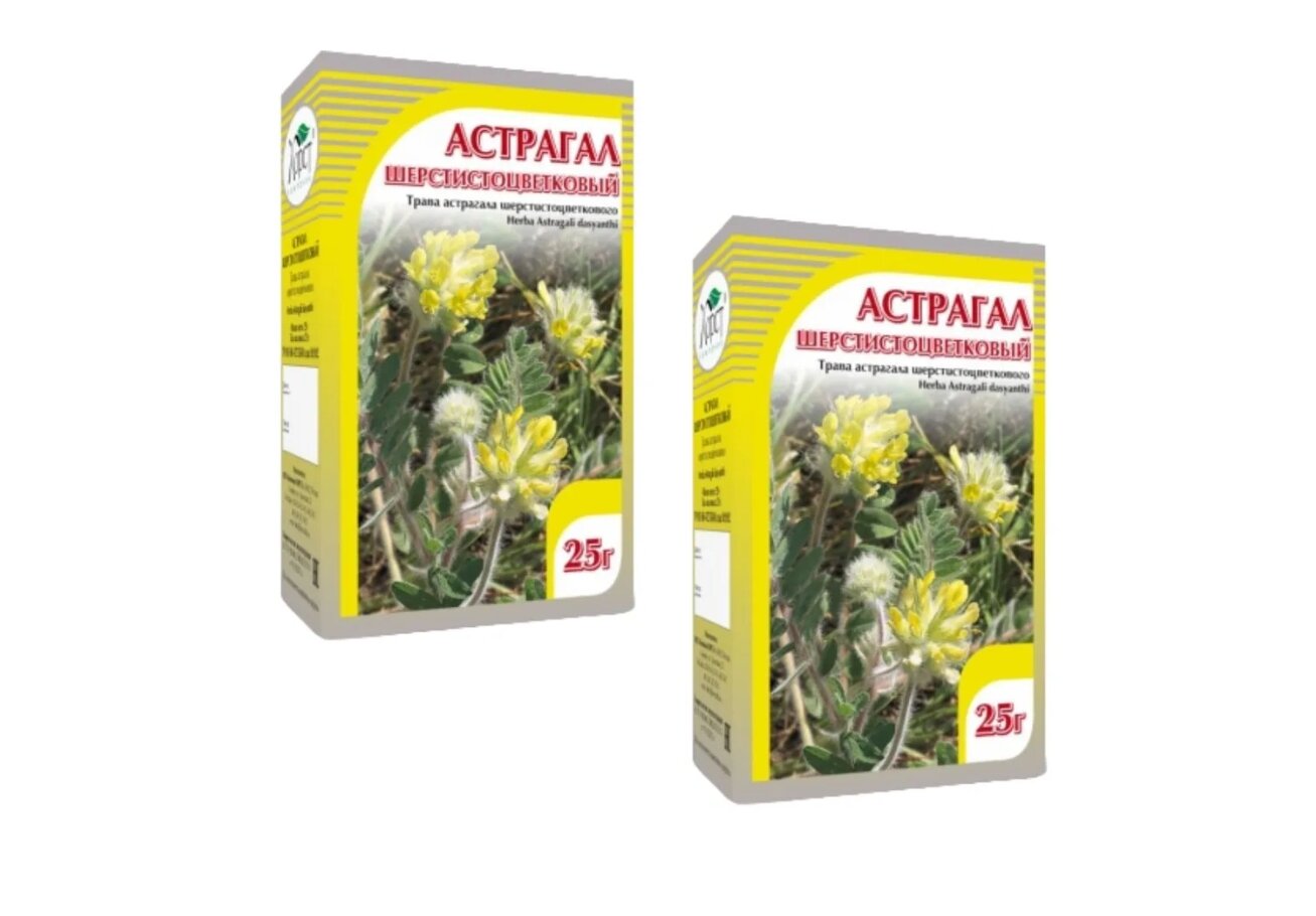 Астрагал шерстицветковый трава, чайный напиток, 2 шт по 25 гр, Хорст