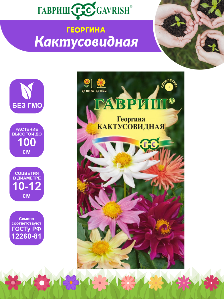 Семена Георгина Кактусовидная смесь 0,2 гр.