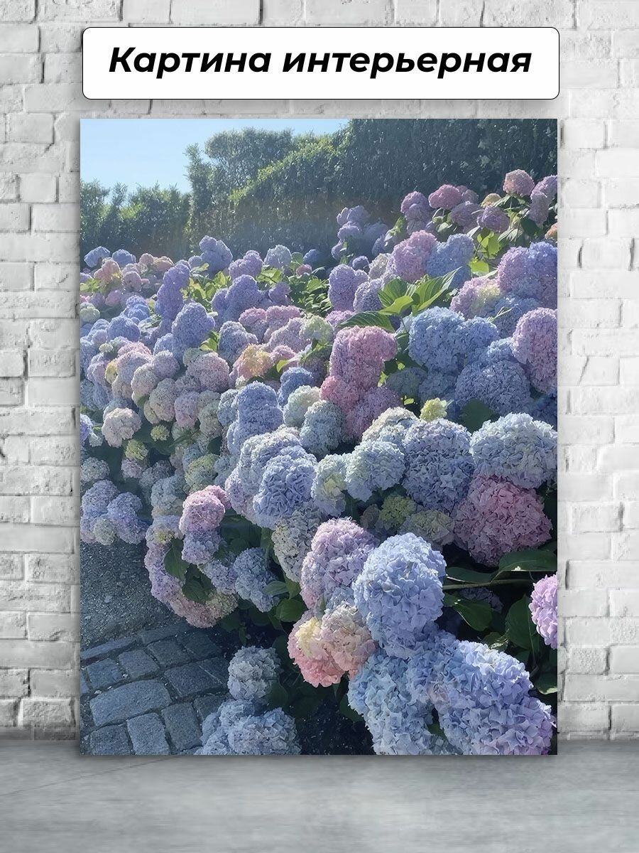 Картины для интерьера 50х70 Цветы Гортензии кустовые