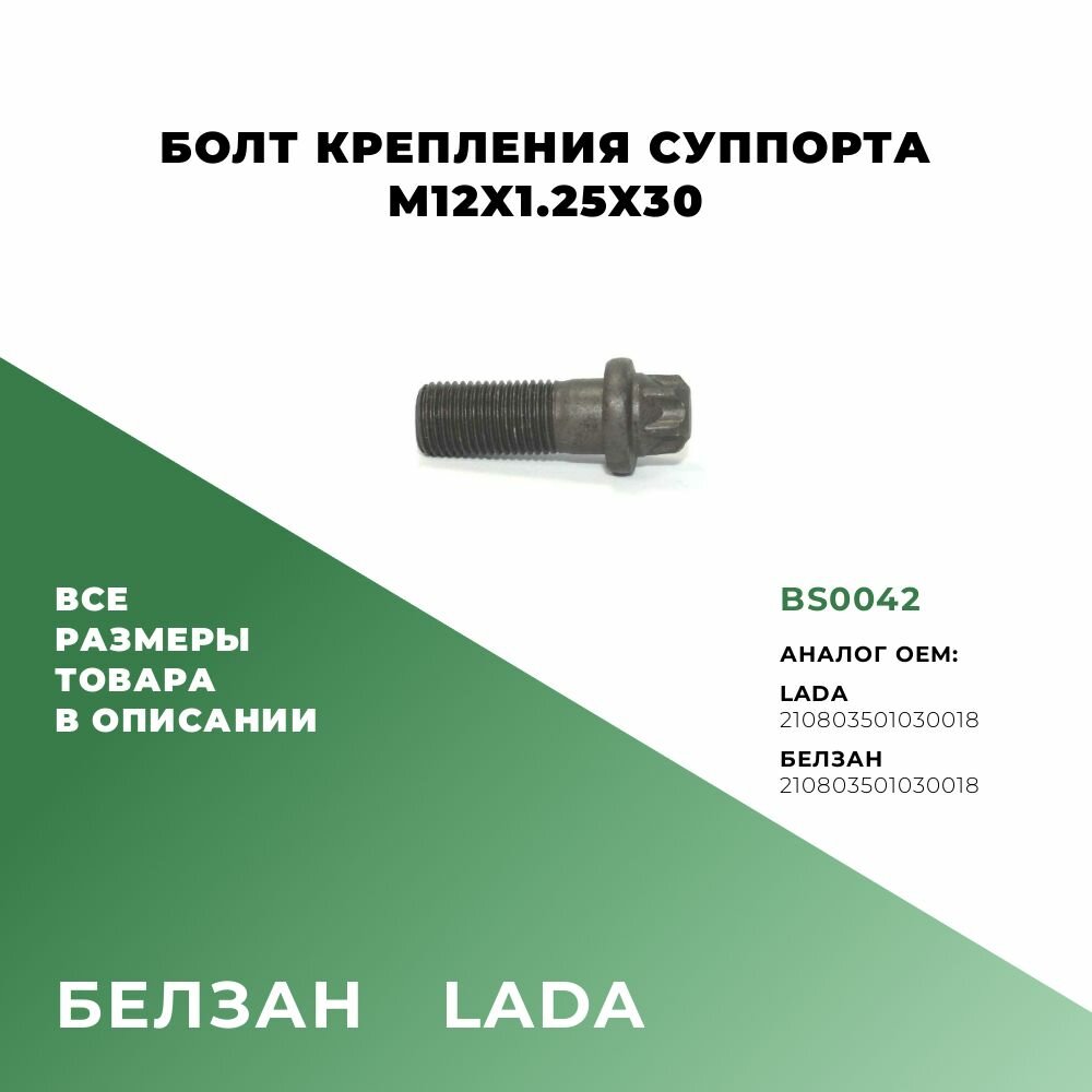 Болт суппорта M12x30x1,25; ОЕМ-210803501030018