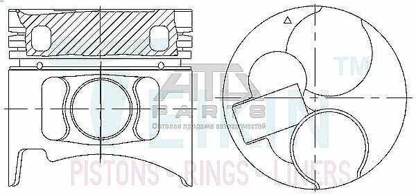 Поршень без колец с масл. галереей Mitsubishi 4M40-T d95.0+0.50 Teikin