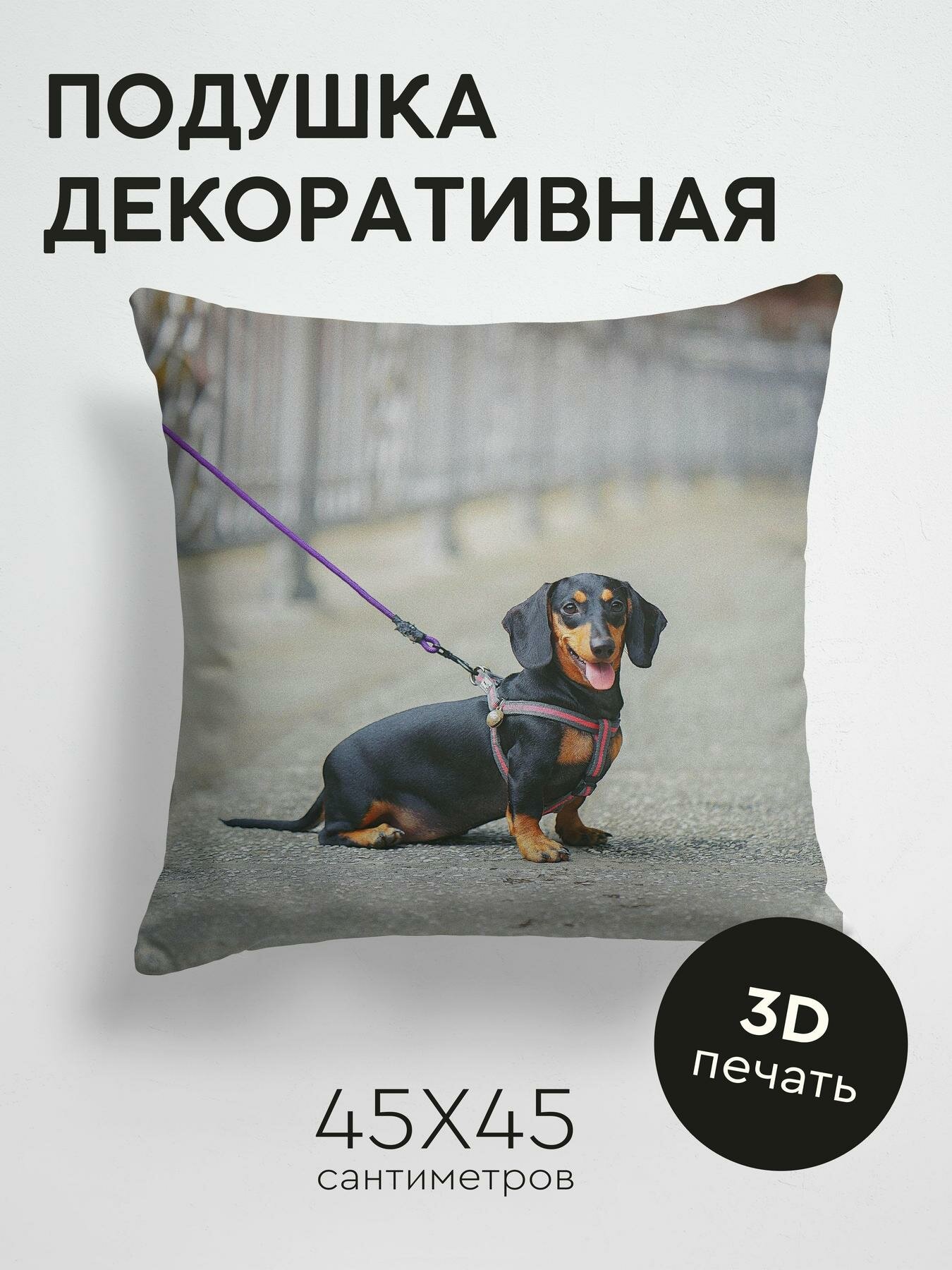 Подушка декоративная, 45x45см / Животные / такса / собака / поводок / прогулка / размытость