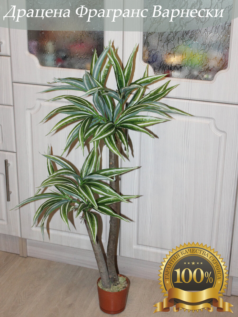 Искусственное растение Holodilova Драцена, вспененный латекс