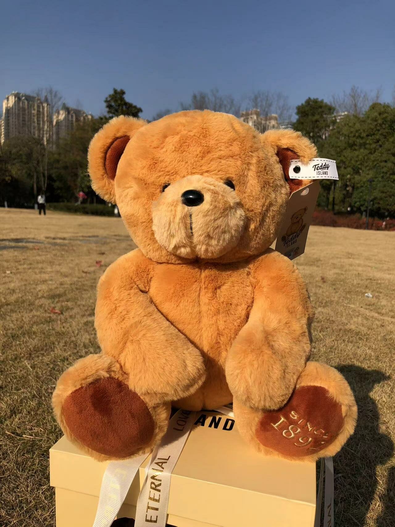 Мягкая игрушка Тедди Айран, классический оригинальный сидящий медведь, высота 31 см