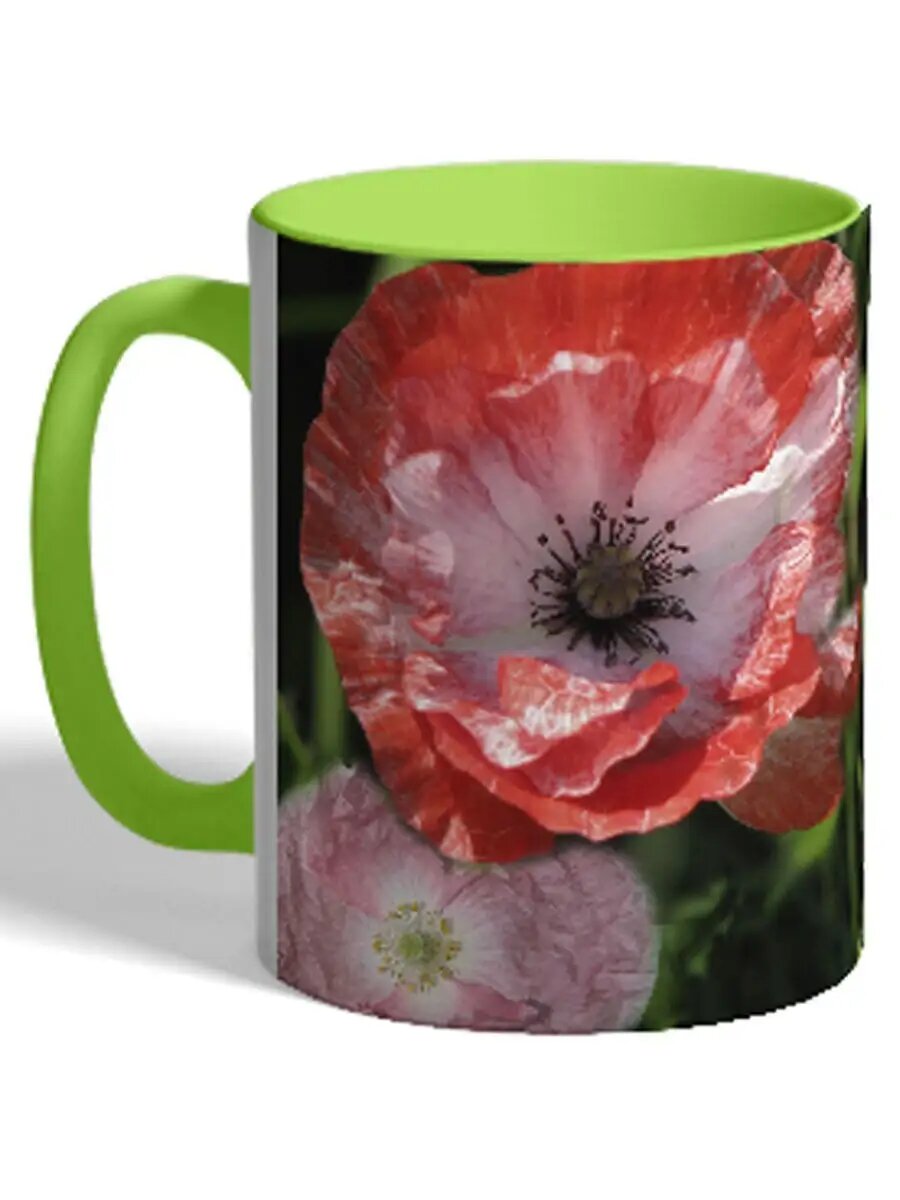 Кружка керамическая с принтом Маки, подарочная, объем 330 мл