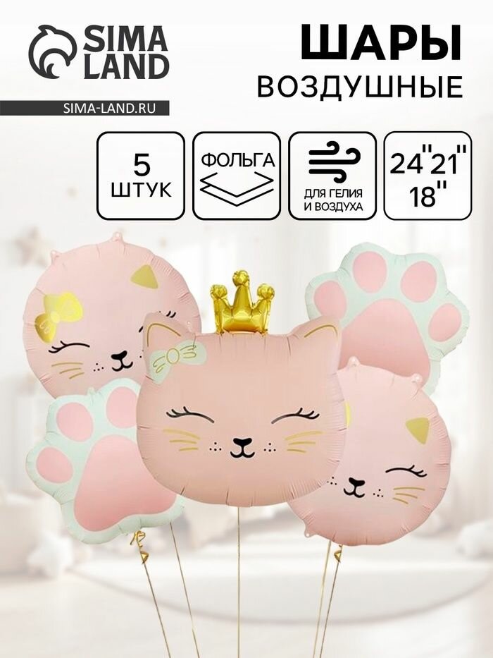 Воздушные шары КНР "Кошечка с короной", набор 5 шт