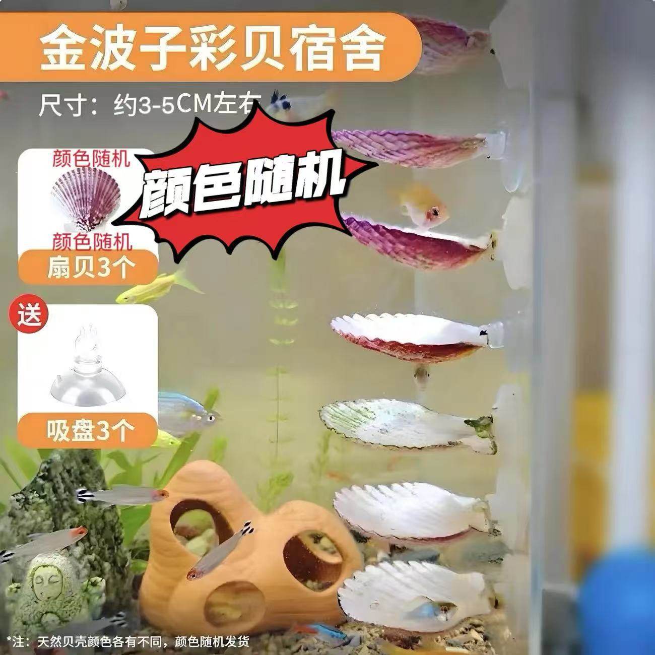 Укрытие для аквариума из натуральной ракушки для отдыха рыб гуппи betta крепление на присоске размер 3-5 см в комплекте 3 штуки с присосками