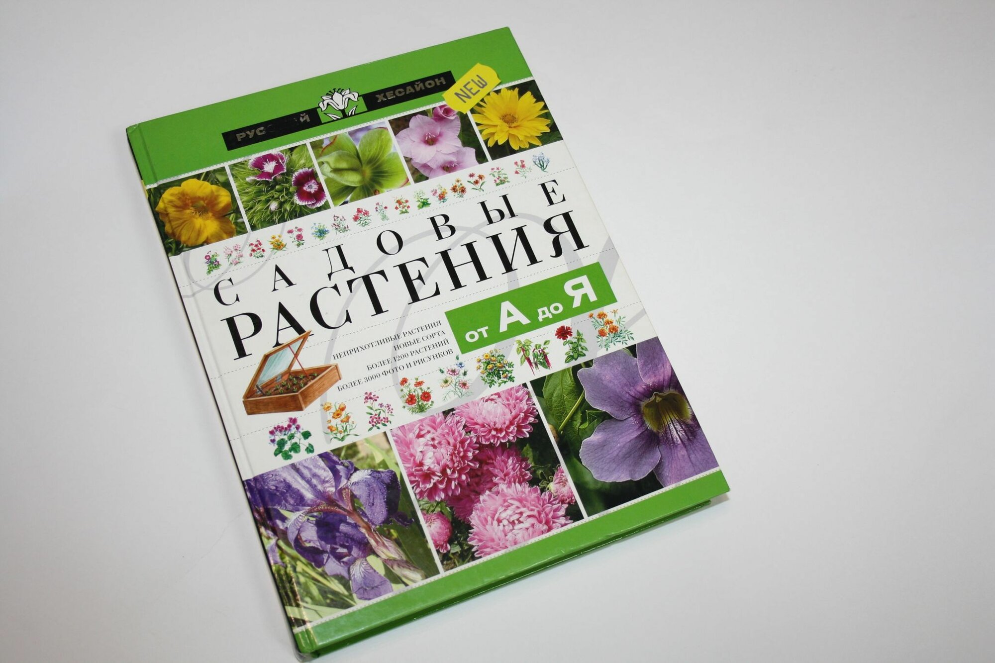 Садовые растения от А до Я