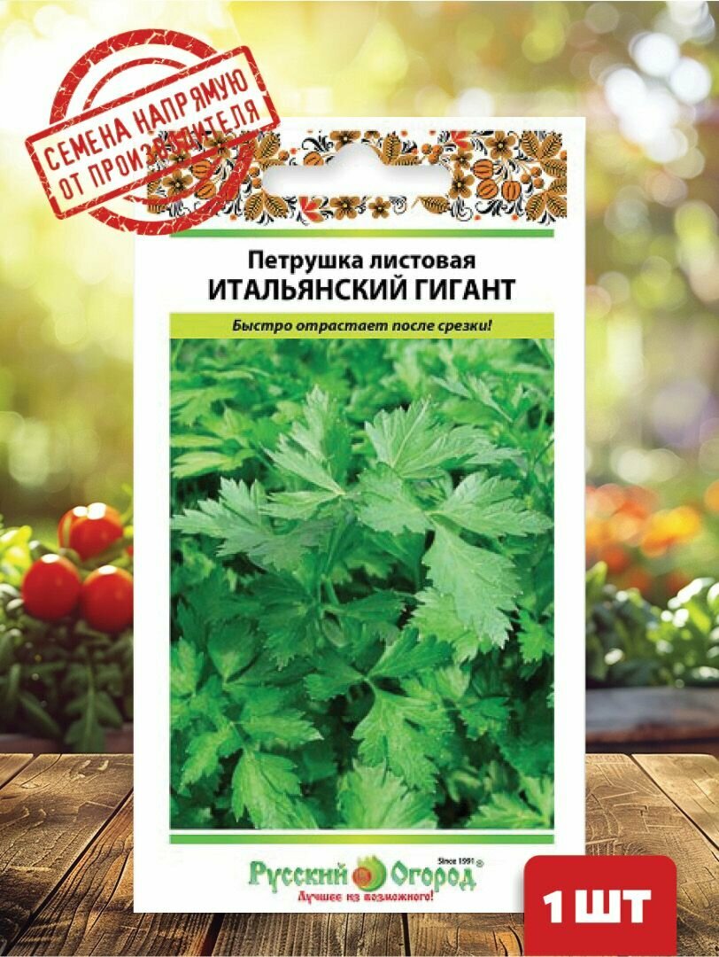 Петрушка листовая Итальянский гигант