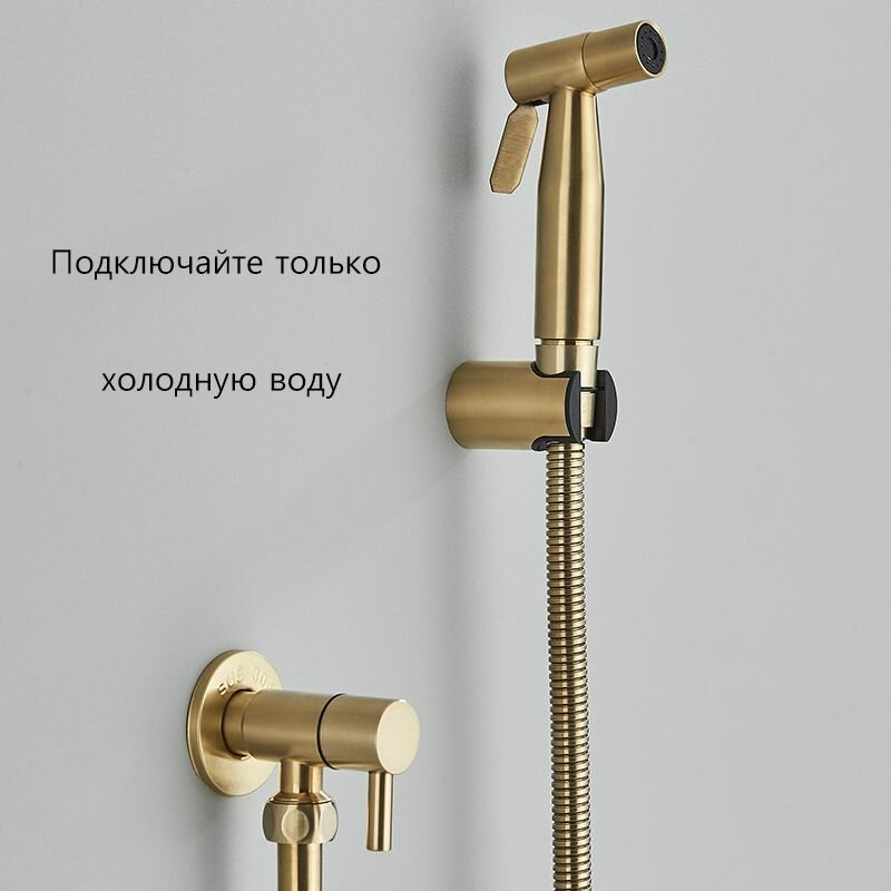 Смеситель для биде с гигиеническим душем / однорычажный / встраиваемый (золотой-матовое золото)-.