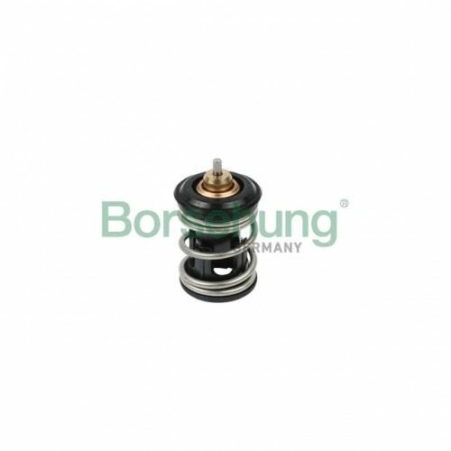 Borsehung B18261 Термостат для AUDI A1 (2010>)